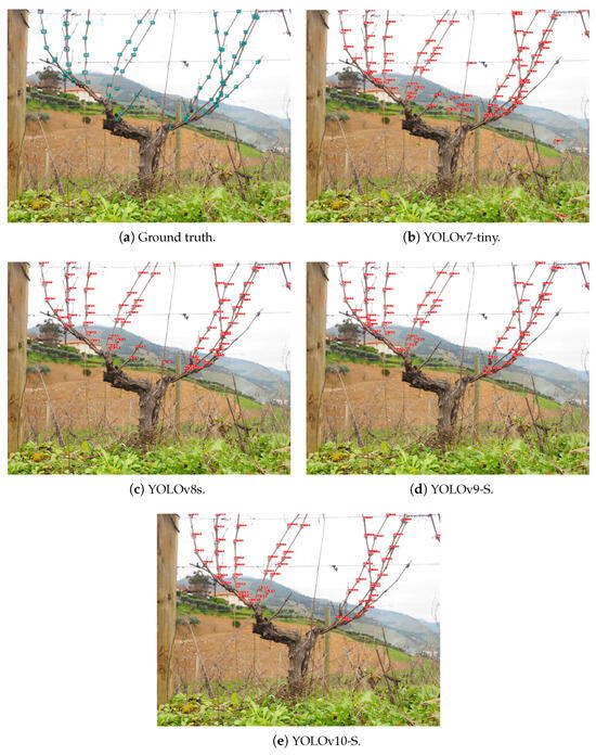 Enhancing Grapevine Node Detection to Support Pruning Automation: Leveraging State-of-the-Art ...