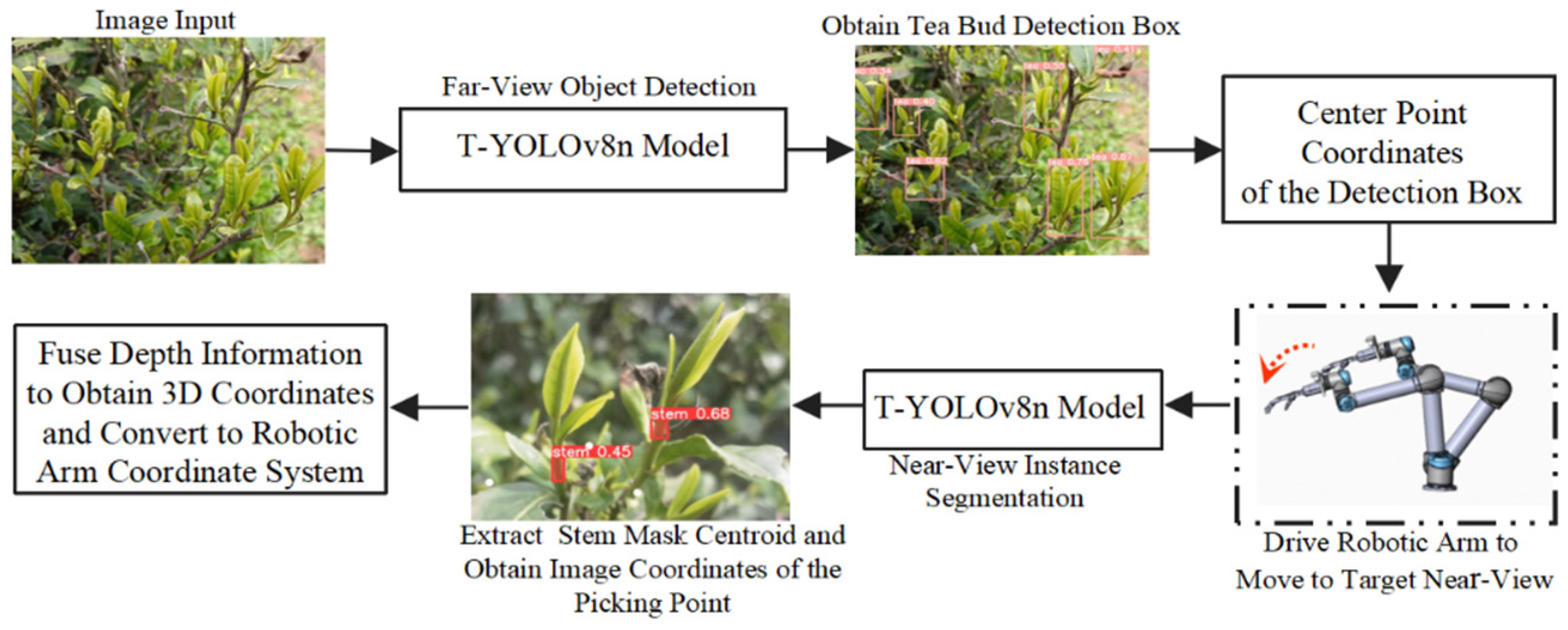 Vision-Based Localization Method for Picking Points in Tea-Harvesting Robots