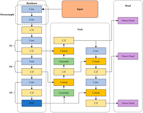GCS-YOLOv8: A Lightweight Face Extractor to Assist Deepfake Detection
