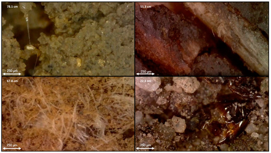 Multi-Sensor Soil Probe and Machine Learning Modeling for Predicting Soil Properties
