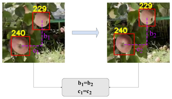 Automatic Apple Detection and Counting with AD-YOLO and MR-SORT