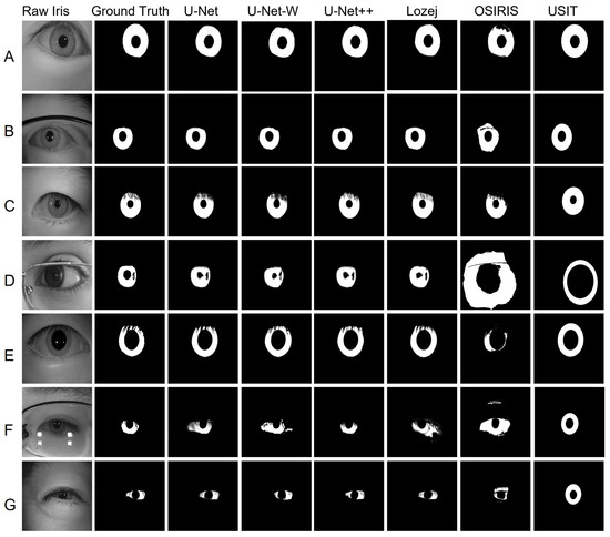 A Comprehensive Evaluation of Iris Segmentation on Benchmarking Datasets