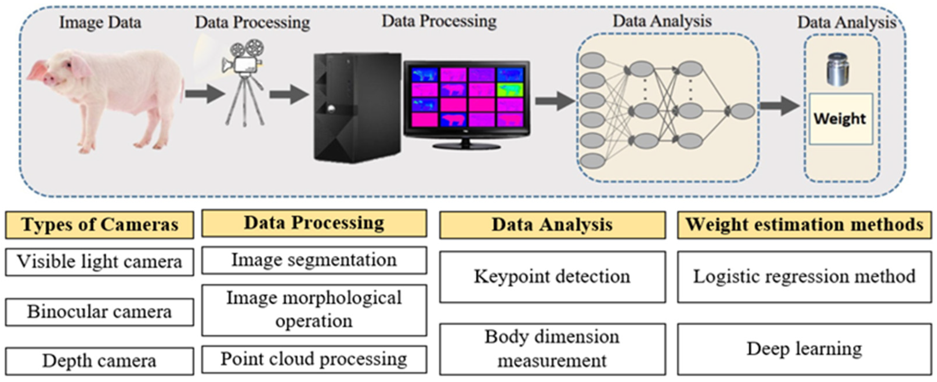 A Review of Visual Estimation Research on Live Pig Weight