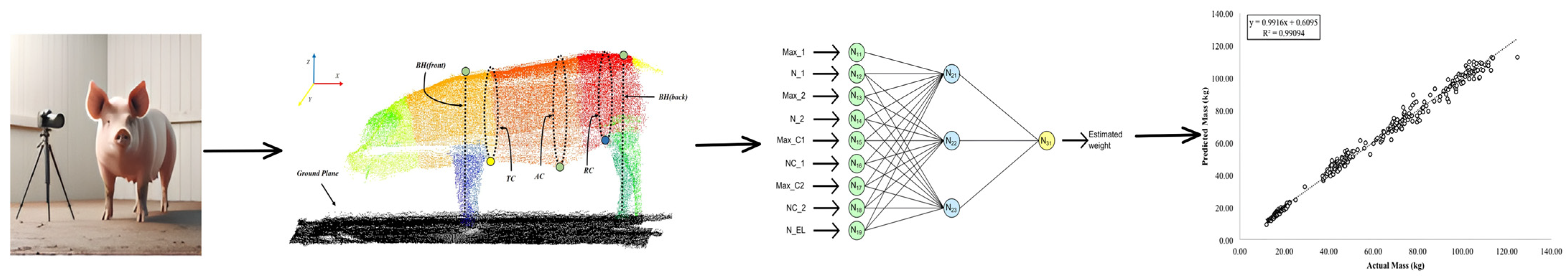 A Review of Visual Estimation Research on Live Pig Weight
