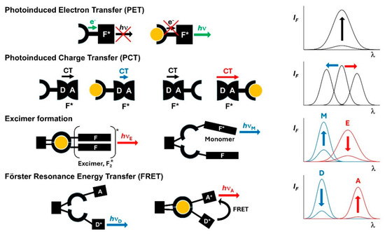Recent Advances in Calixarene-Based Fluorescent Sensors for Biological ...