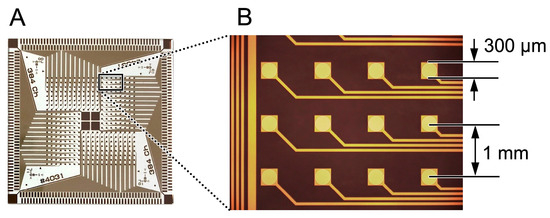 Sensor Arrays for Electrochemical Detection of PCR-Amplified Genes ...