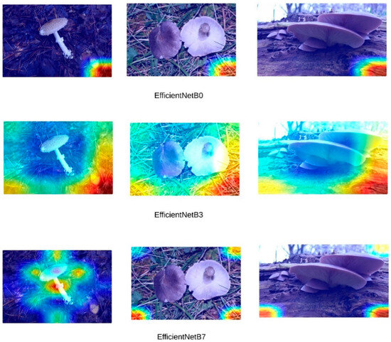 Deep Learning Based Classification Of Macrofungi Comparative Analysis Of Advanced Models For