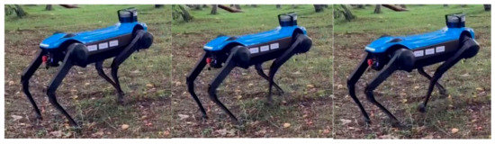 State Estimation for Quadruped Robots on Non-Stationary Terrain via Invariant Extended Kalman ...