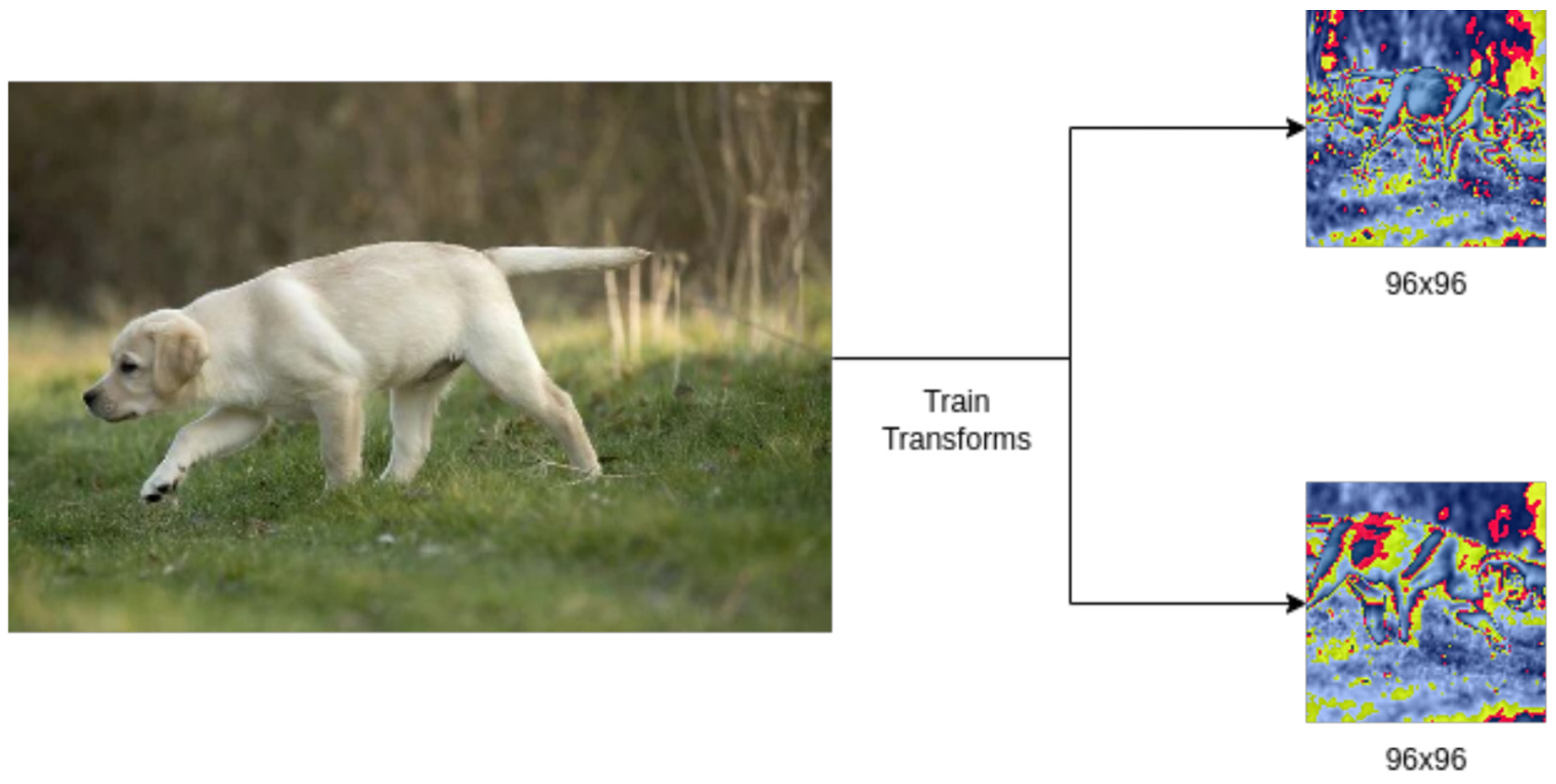 Unsupervised Canine Emotion Recognition Using Momentum Contrast