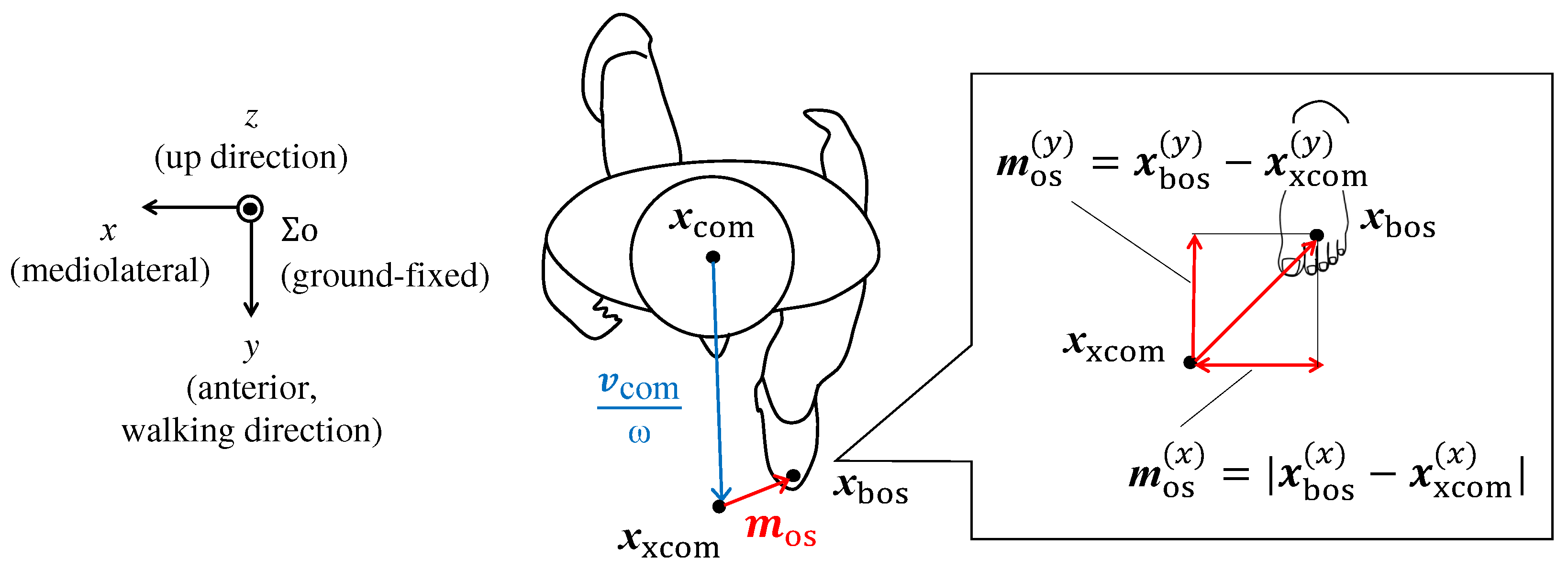 Prediction of Margin of Gait Stability by Using Six-DoF Motion of Pelvis