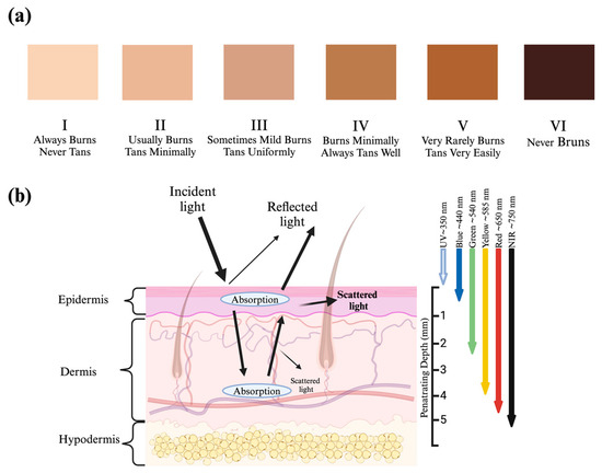 Skin Phototype Classification with Machine Learning Based on Broadband ...