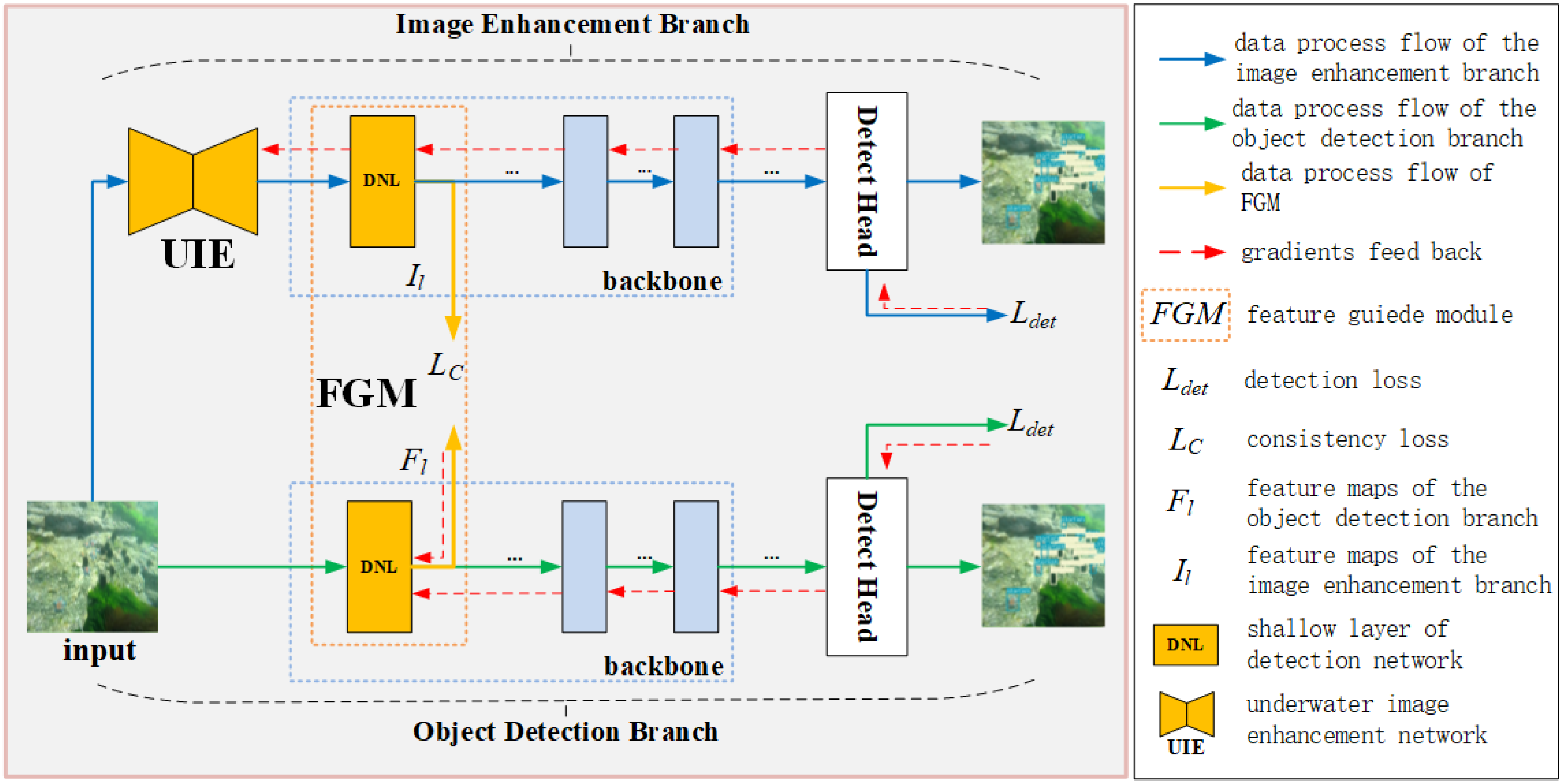 BG-YOLO: A Bidirectional-Guided Method for Underwater Object Detection
