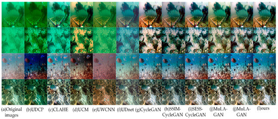 LM-CycleGAN: Improving Underwater Image Quality Through Learned ...