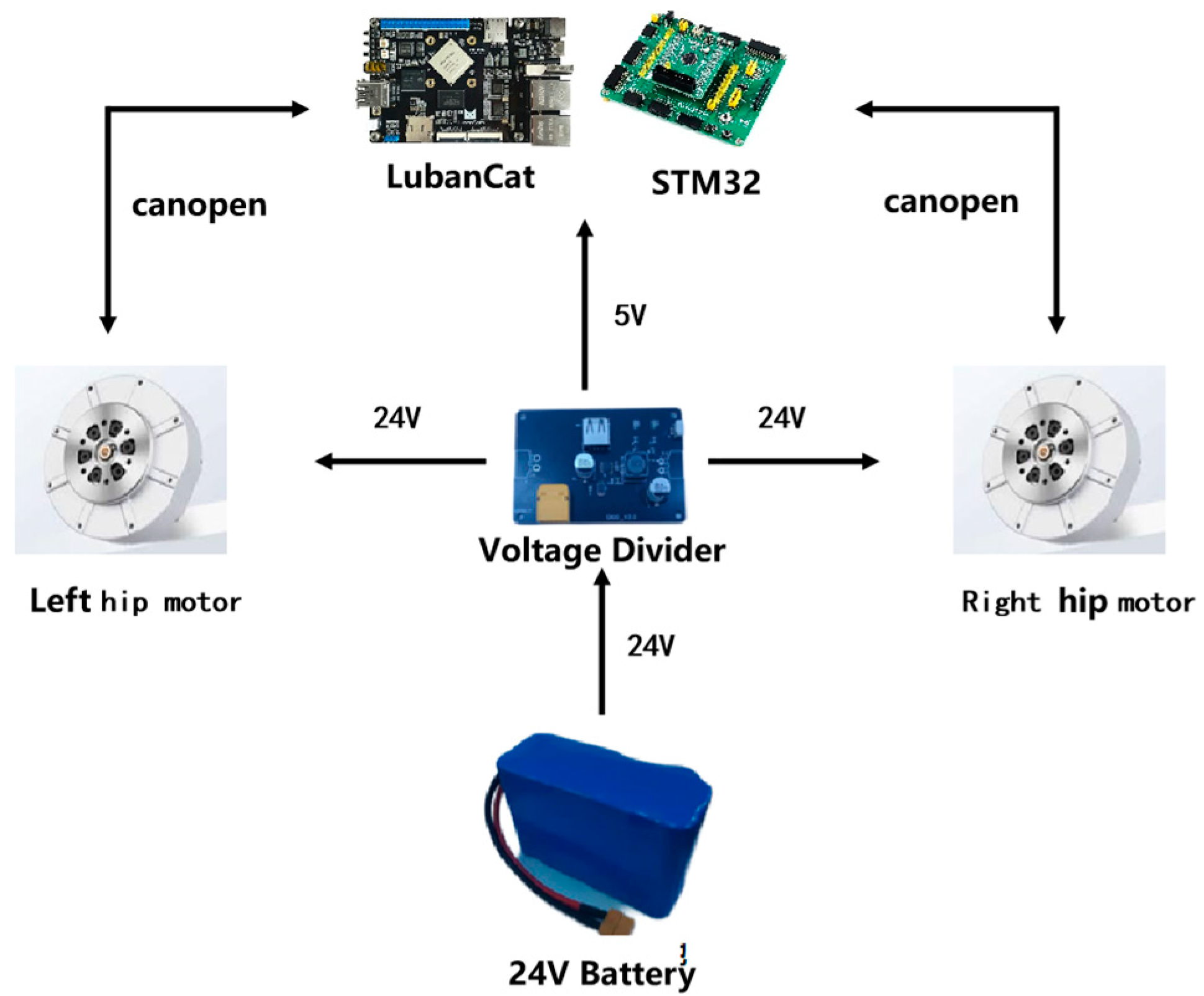 The Design and Application of an Assistive Hip Joint Exoskeleton for ...