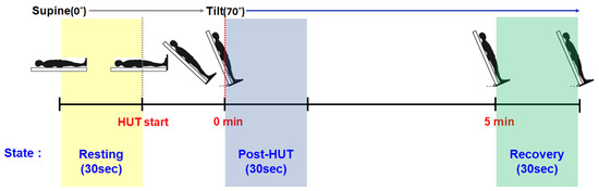 Age-Related Differences in Cardiovascular and Cerebrovascular Responses ...