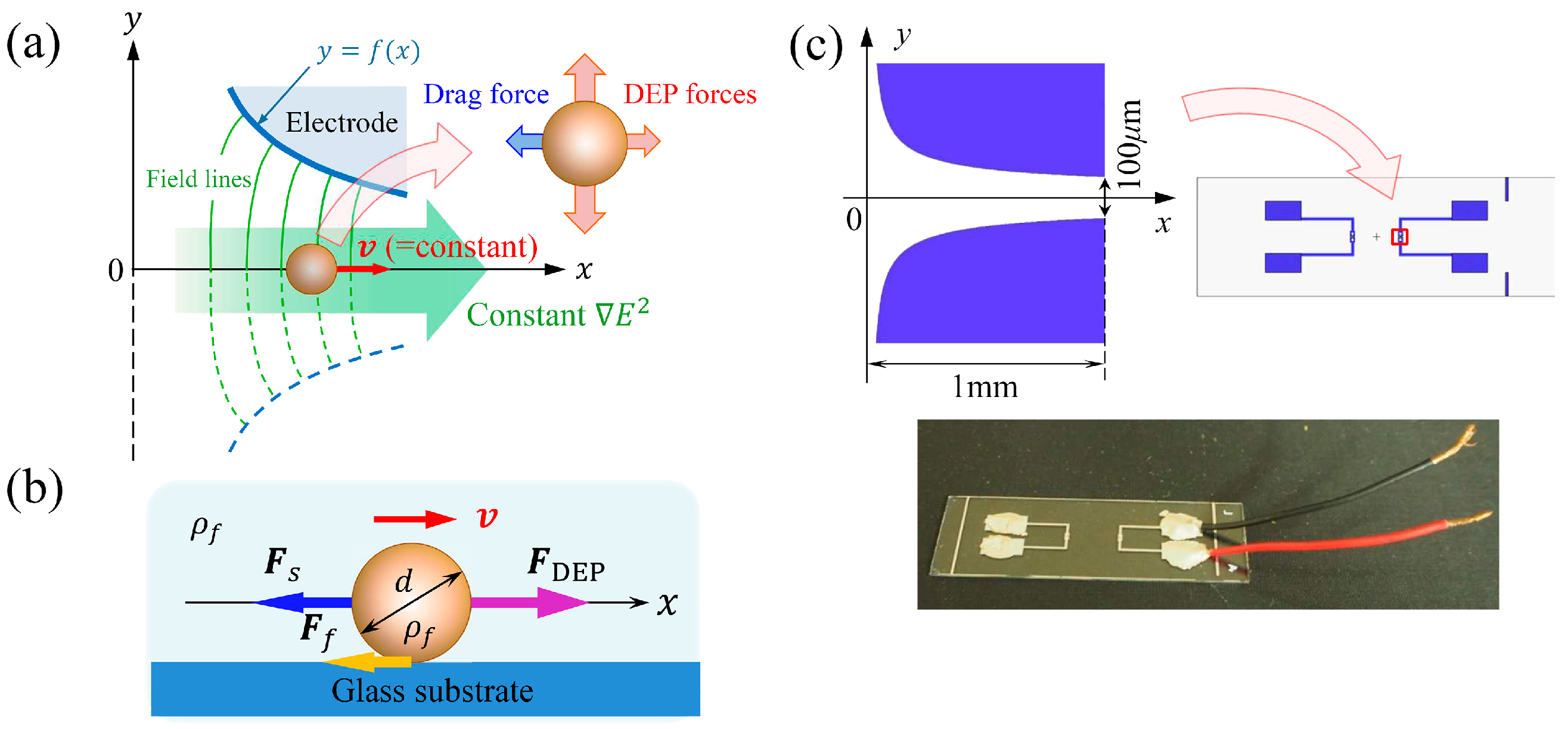 Analysis of Cell Dielectrophoretic Properties Using Isomotive Creek-Gap ...