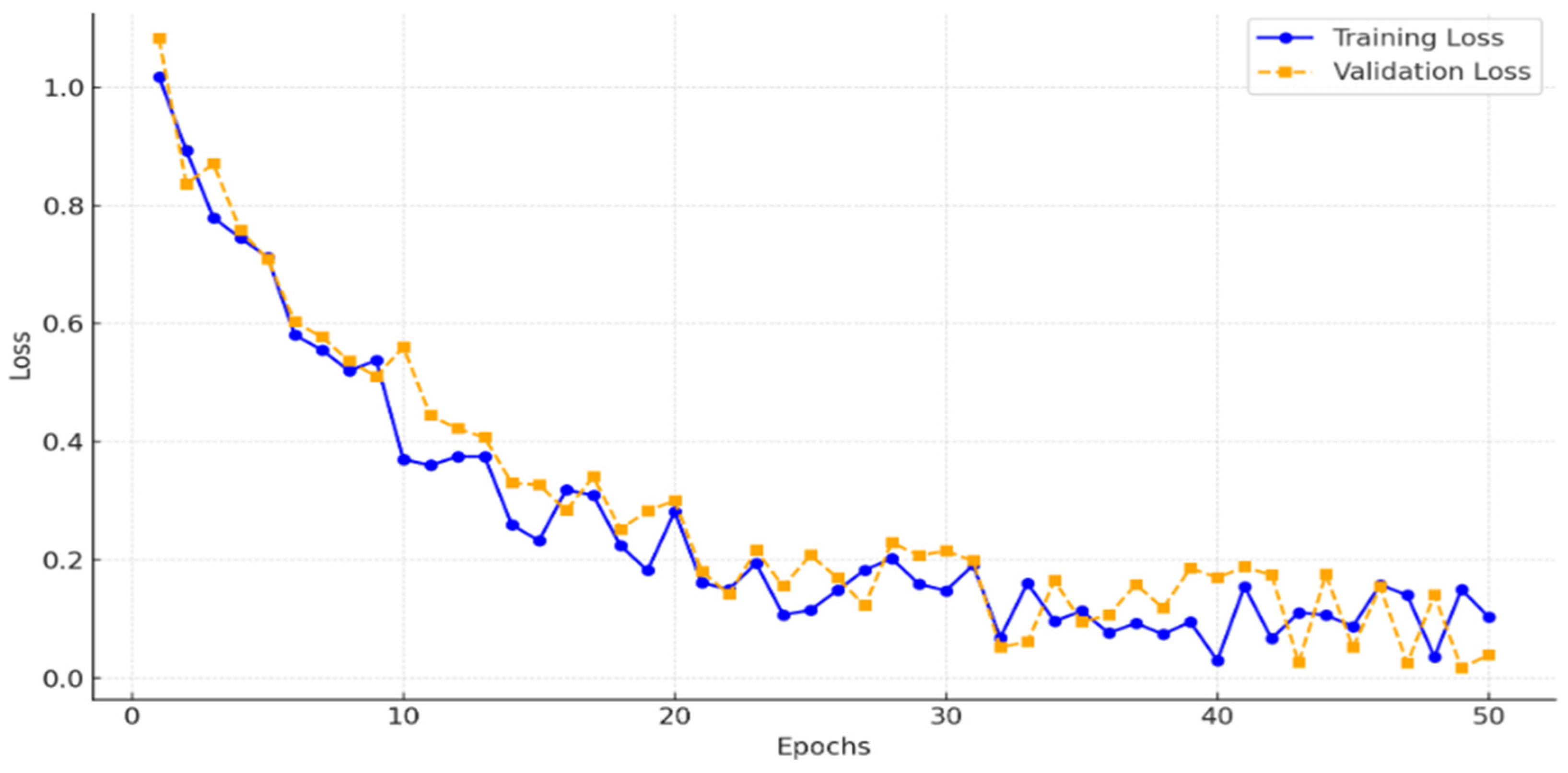 CNN-Based Kidney Segmentation Using a Modified CLAHE Algorithm