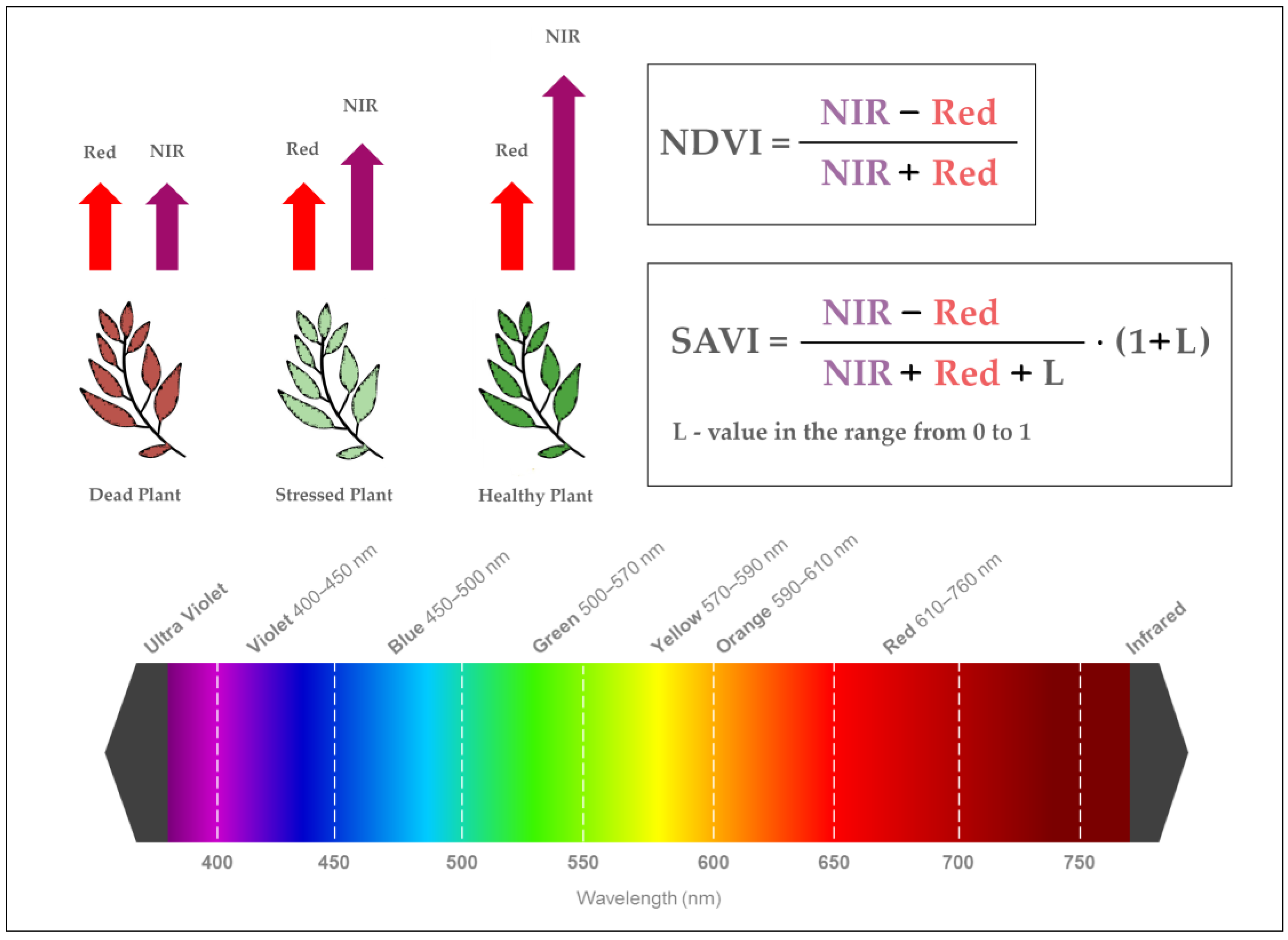 Assessing the Feasibility of Using Remote Sensing Data and Vegetation ...