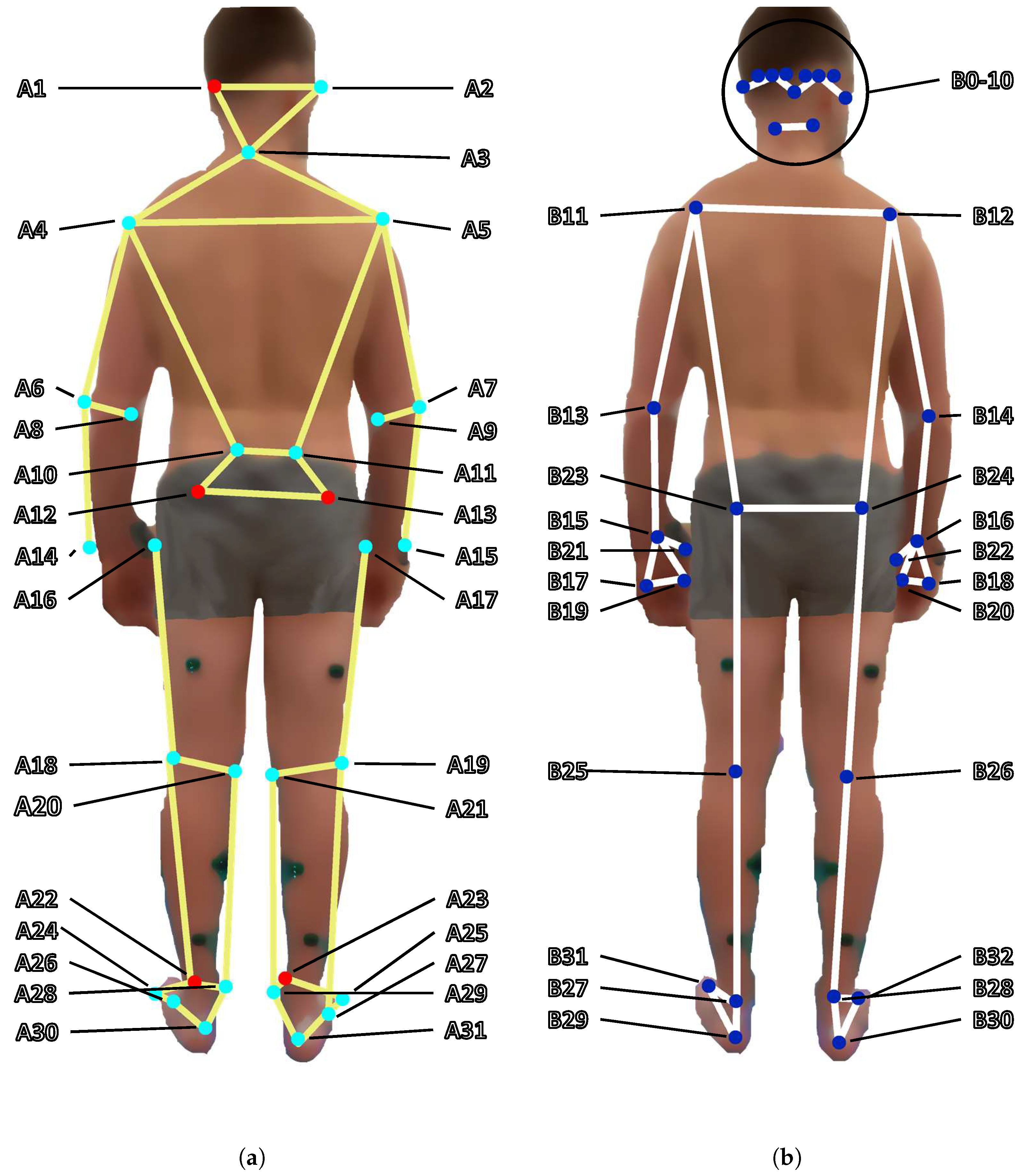 Accuracy Evaluation of 3D Pose Reconstruction Algorithms Through Stereo ...