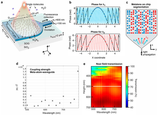 Dual-Wavelength On-Chip Integrated Metalens for Epi-Fluorescence Single ...