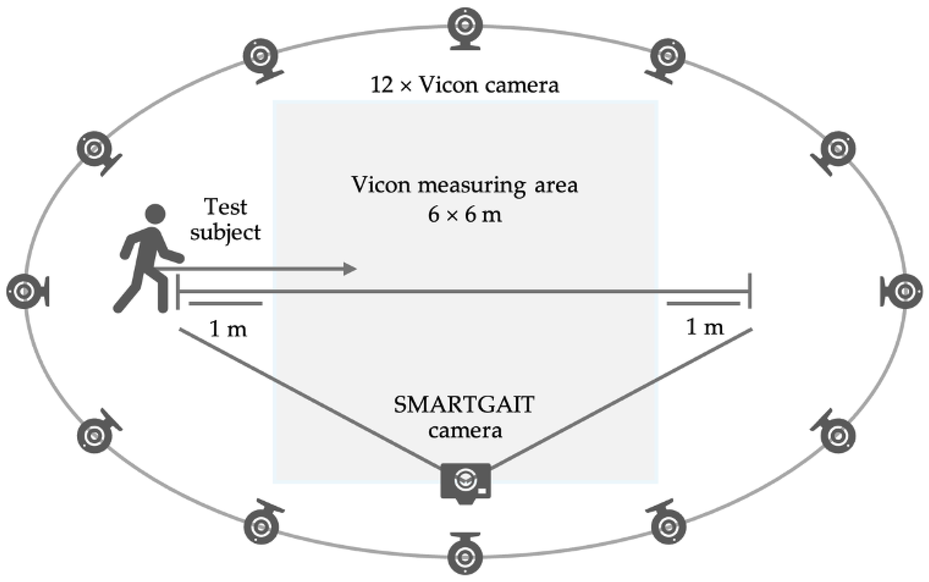 Steps to Facilitate the Use of Clinical Gait Analysis in Stroke ...