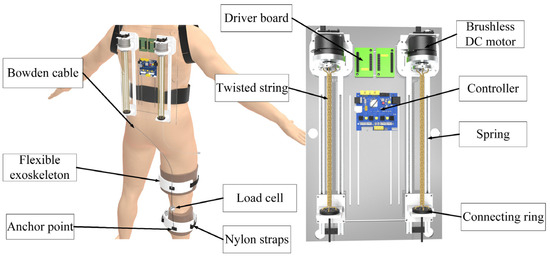 Human-in-the-Loop Modeling and Bilateral Skill Transfer Control of Soft ...