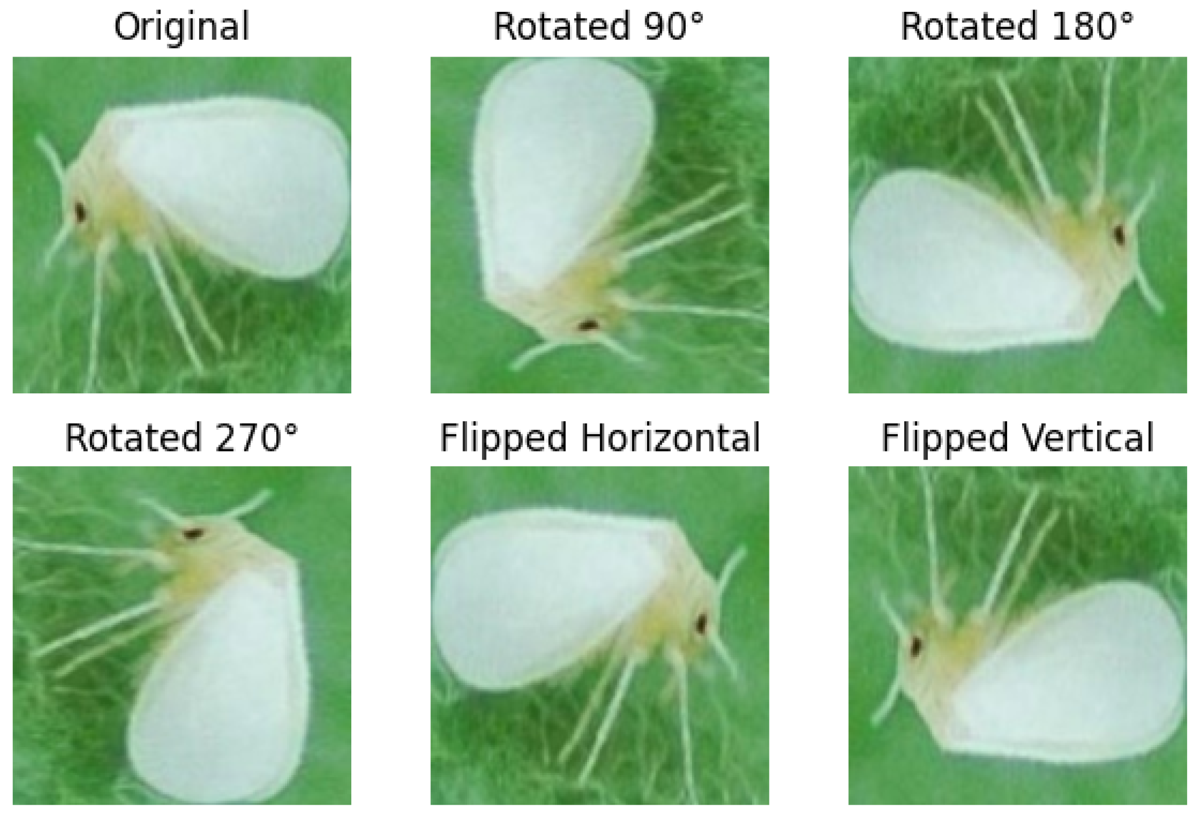 Comprehensive Investigation of Machine Learning and Deep Learning ...