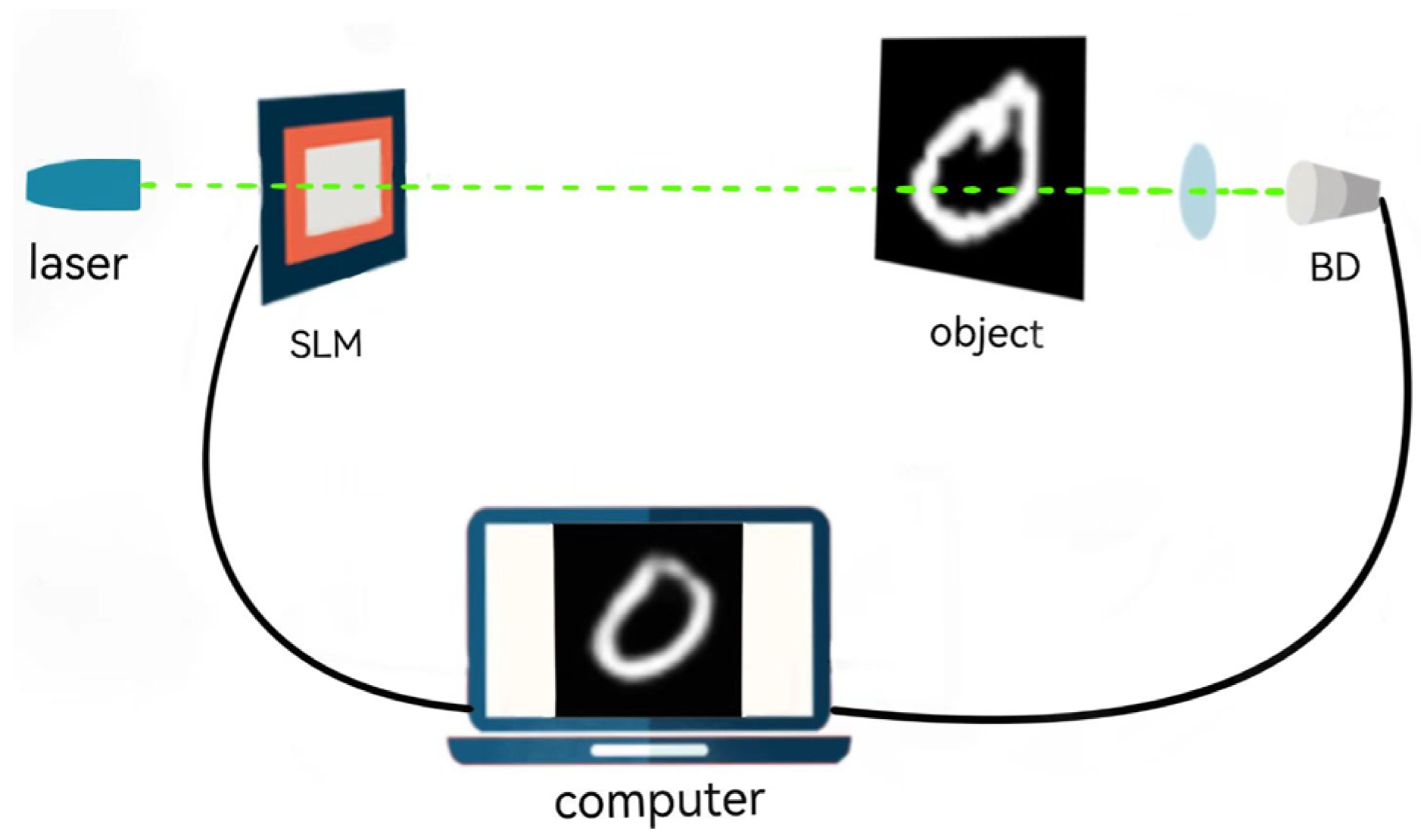 A Dual Path Computational Ghost Imaging Method Based On Convolutional