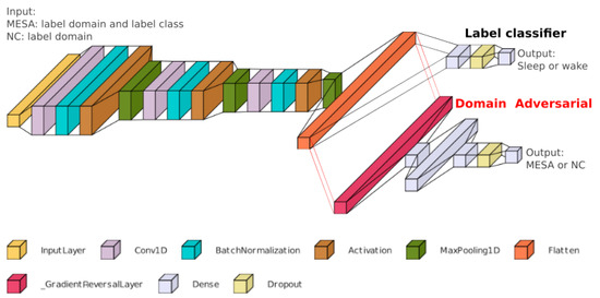 Domain Adversarial Convolutional Neural Network Improves the Accuracy and Generalizability of ...