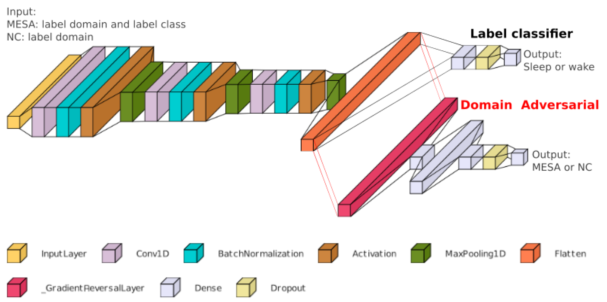 Domain Adversarial Convolutional Neural Network Improves the Accuracy and Generalizability of ...