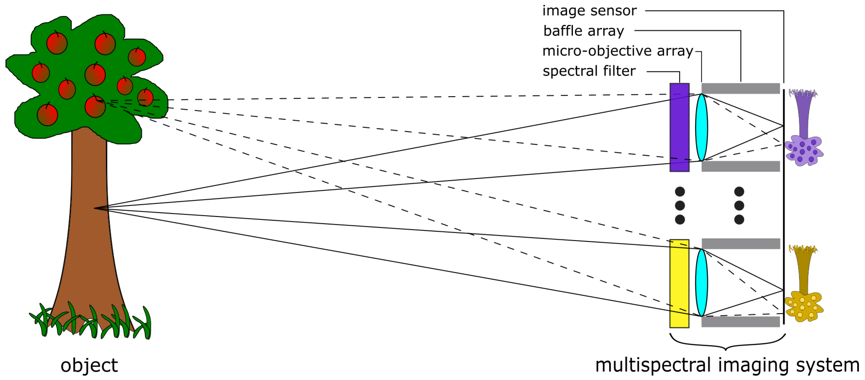 Realisation of an Application Specific Multispectral Snapshot-Imaging ...