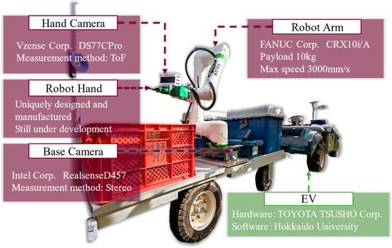 Development of a Grape Cut Point Detection System Using Multi-Cameras for a Grape-Harvesting Robot