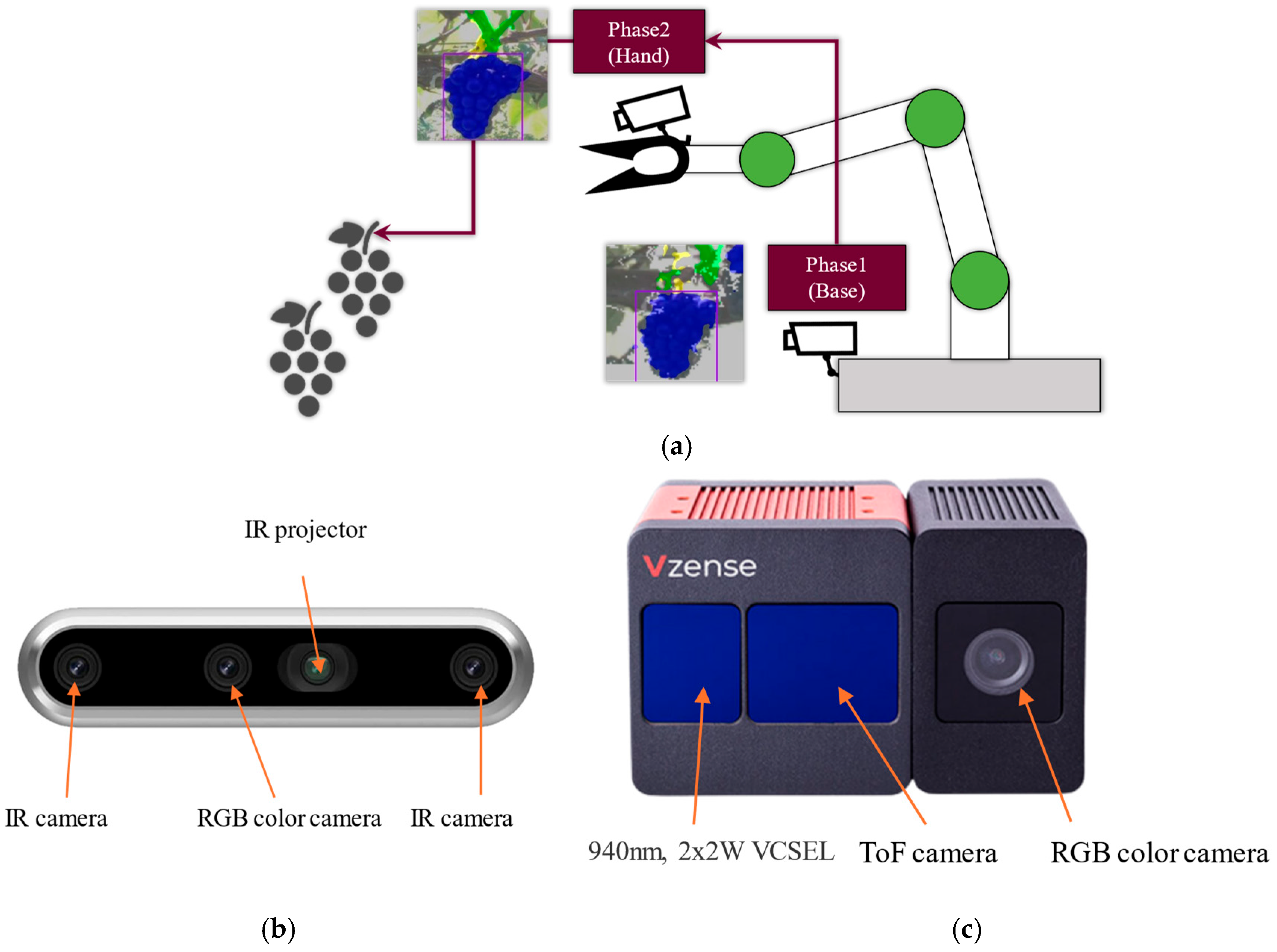Development of a Grape Cut Point Detection System Using Multi-Cameras for a Grape-Harvesting Robot