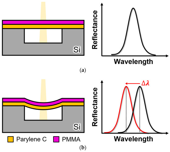 Sensitivity Analysis of an Optical Interferometric Surface Stress ...