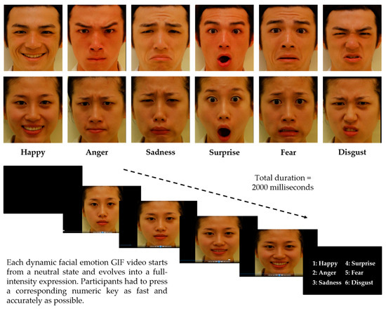 Dynamic Emotion Recognition and Expression Imitation in Neurotypical ...