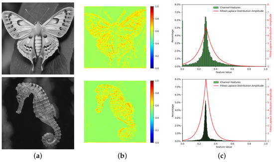 Probabilistic Attention Map: A Probabilistic Attention Mechanism for ...