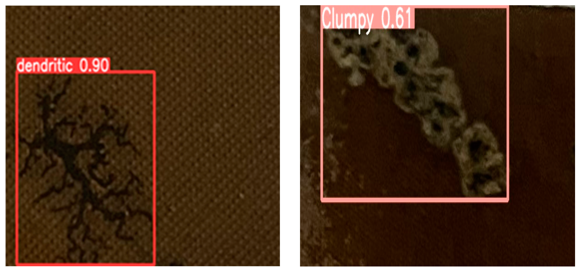 DSC-SeNet: Unilateral Network with Feature Enhancement and Aggregation for Real-Time ...