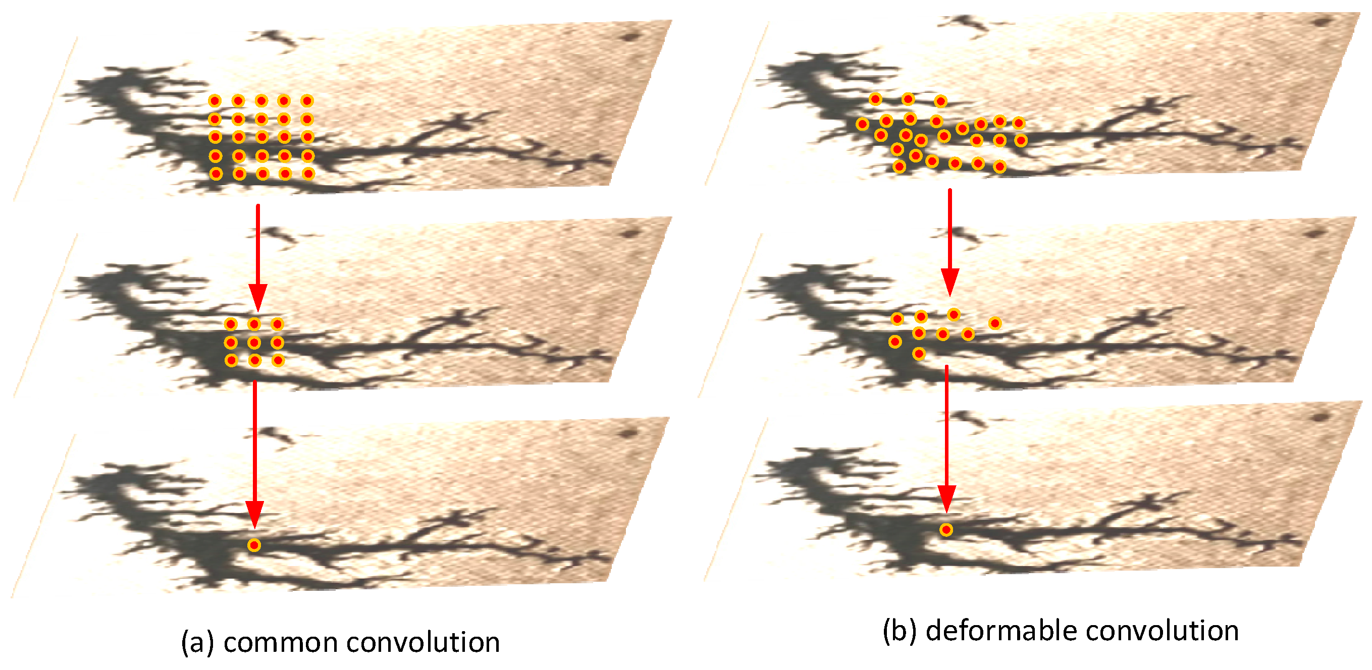 DSC-SeNet: Unilateral Network with Feature Enhancement and Aggregation for Real-Time ...