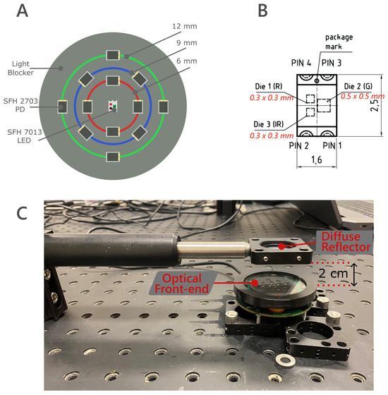 Exploring Near- and Far-Field Effects in Photoplethysmography Signals ...