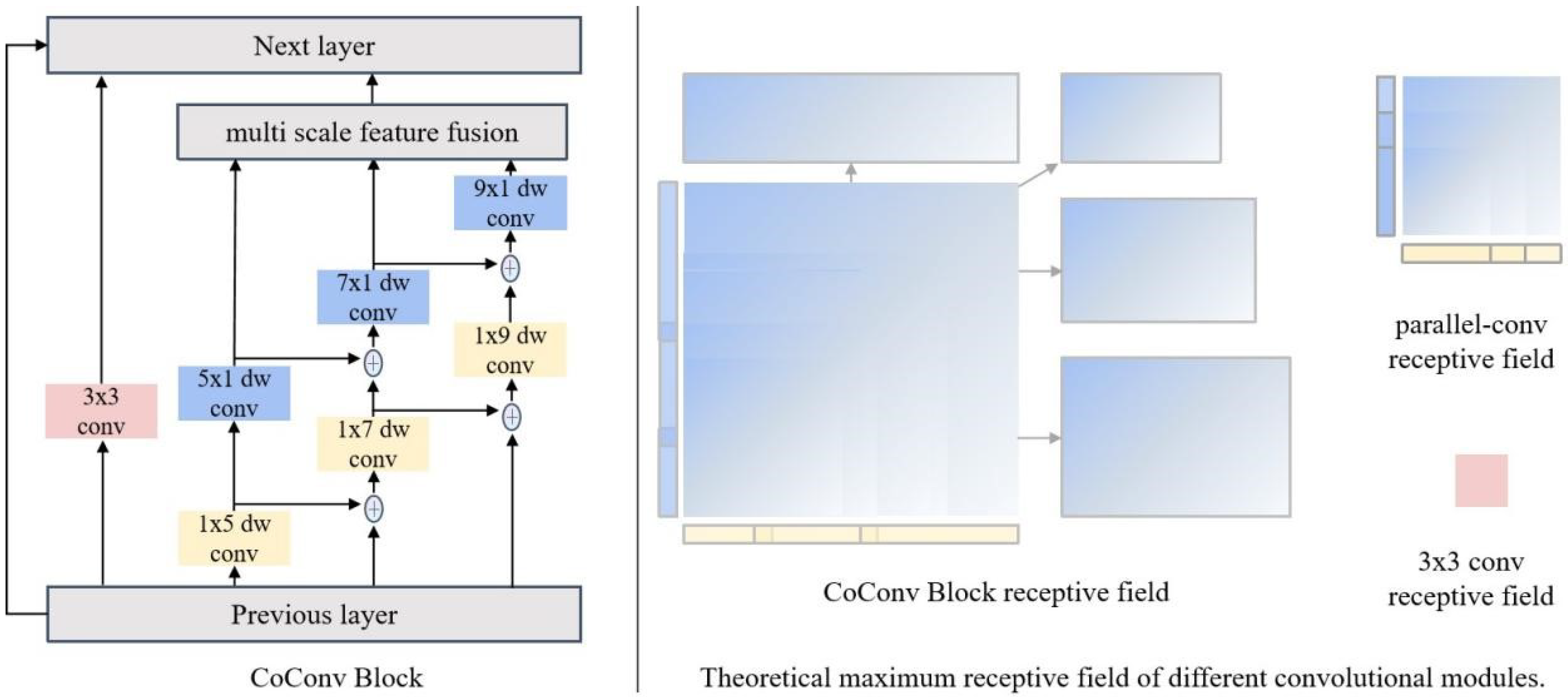 Cross-Shaped Heat Tensor Network for Morphometric Analysis Using Zebrafish Larvae Feature Keypoints