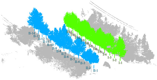 Hierarchical Optimization Segmentation and Parameter Extraction of ...