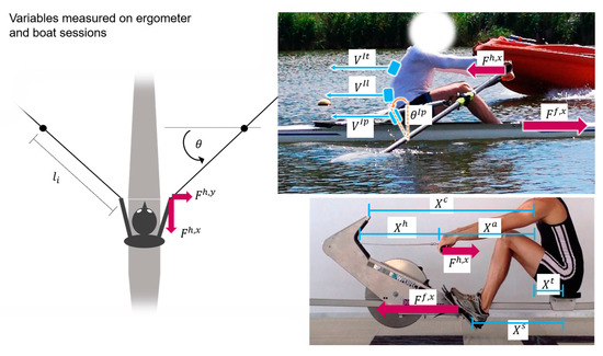 Estimation of Forces and Powers in Ergometer and Scull Rowing Based on ...