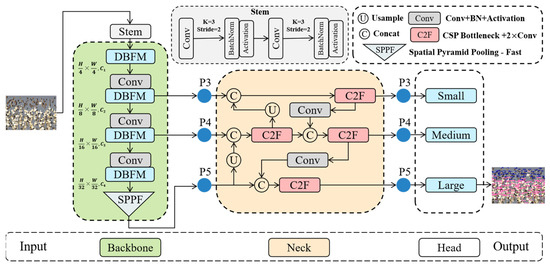 Bird Species Detection Net: Bird Species Detection Based on the ...