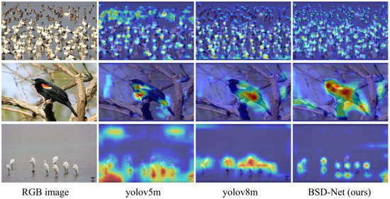 Bird Species Detection Net: Bird Species Detection Based on the ...