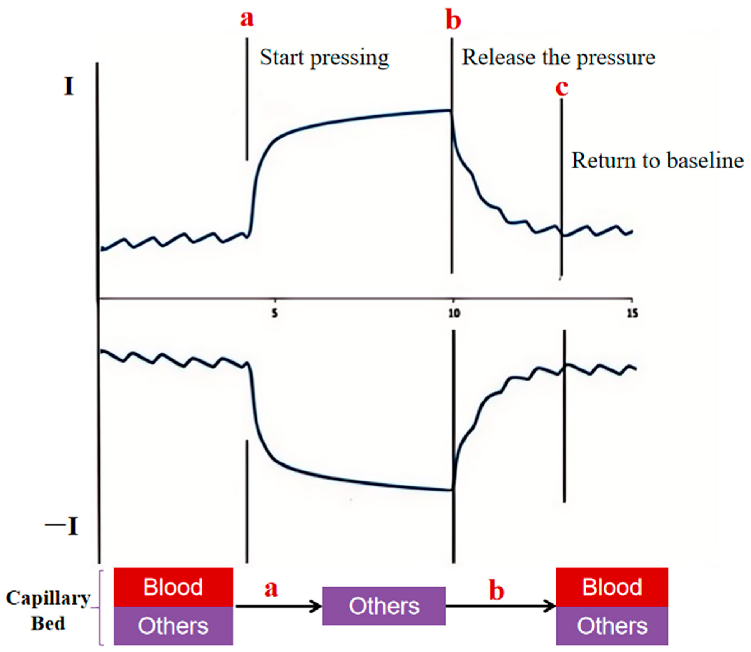 A New Approach to Non-Invasive Microcirculation Monitoring: Quantifying ...