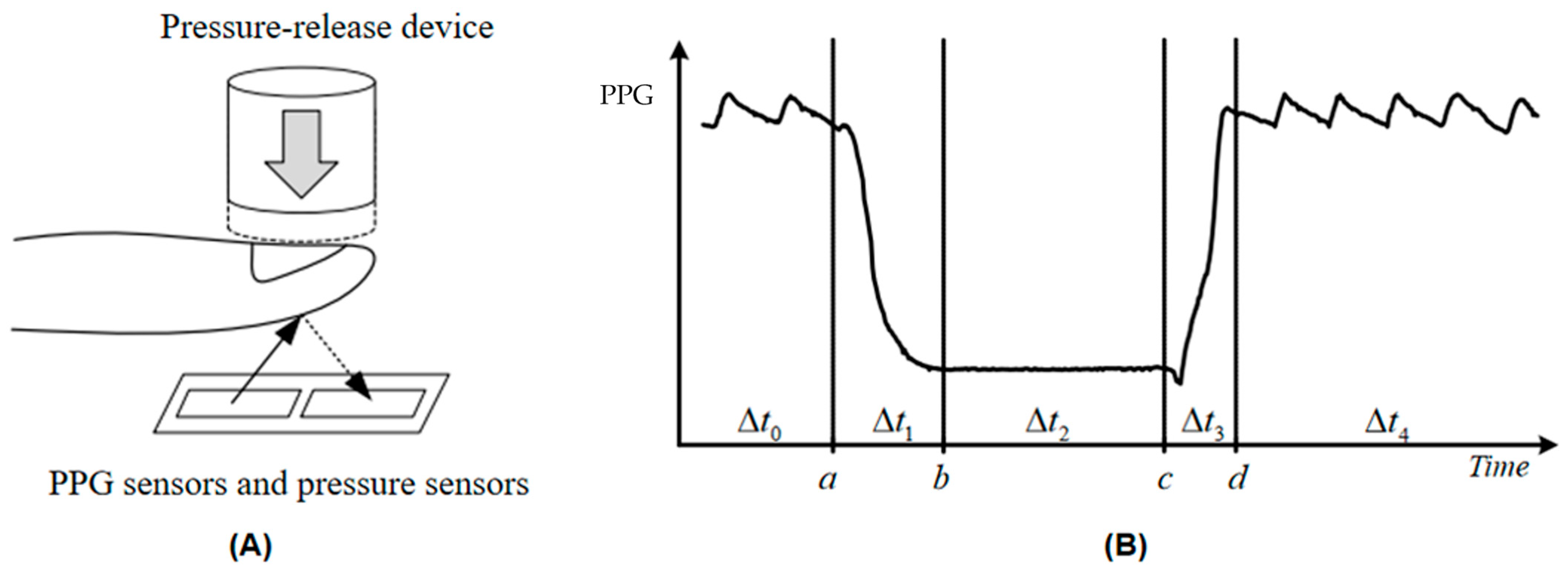 A New Approach to Non-Invasive Microcirculation Monitoring: Quantifying ...