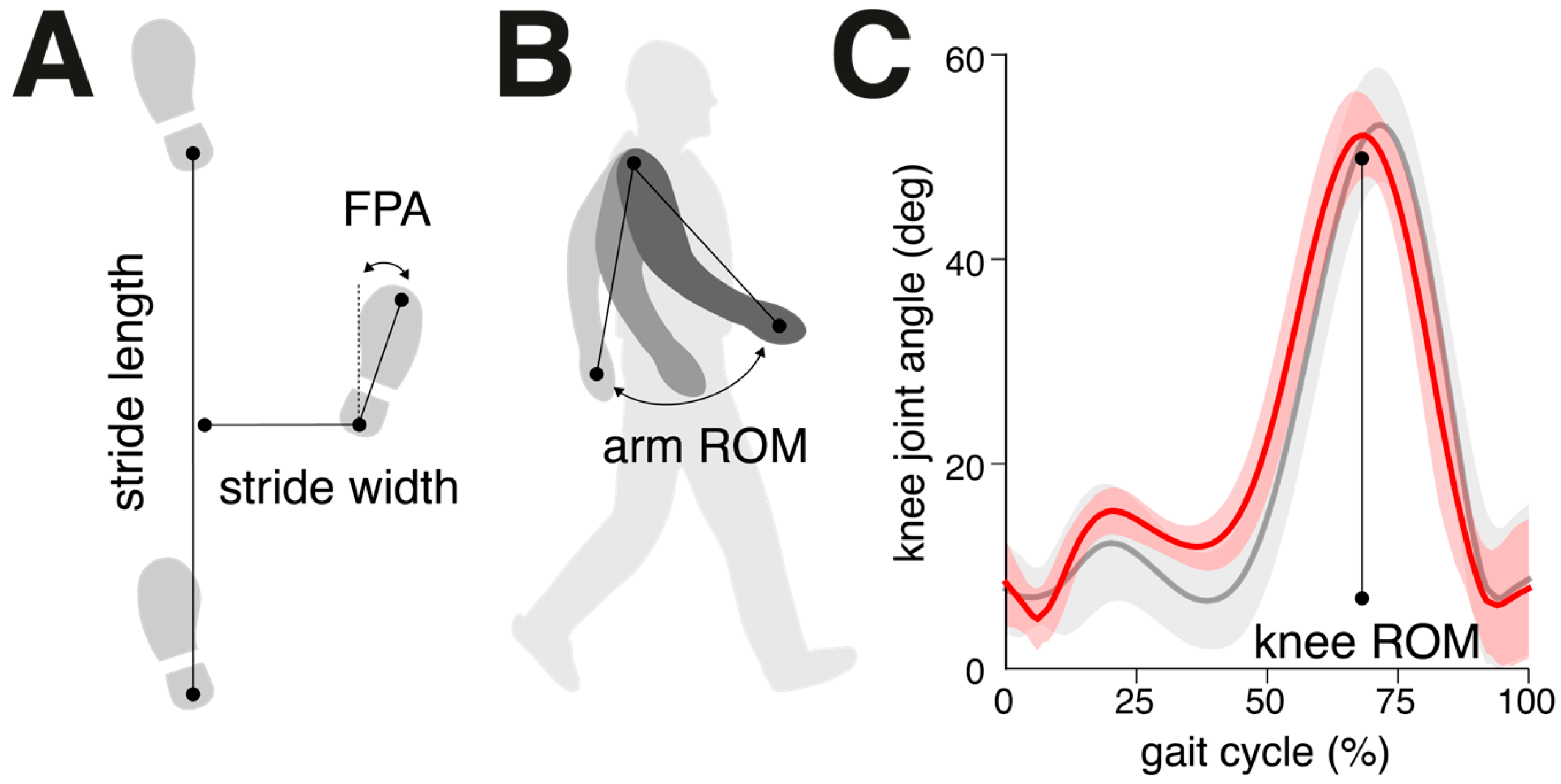 Clinical Whole-Body Gait Characterization Using a Single RGB-D Sensor