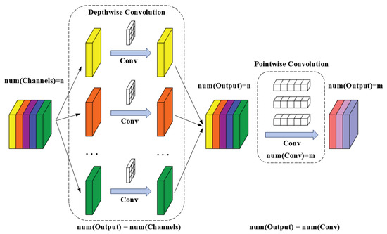 LDDP-Net: A Lightweight Neural Network with Dual Decoding Paths for ...