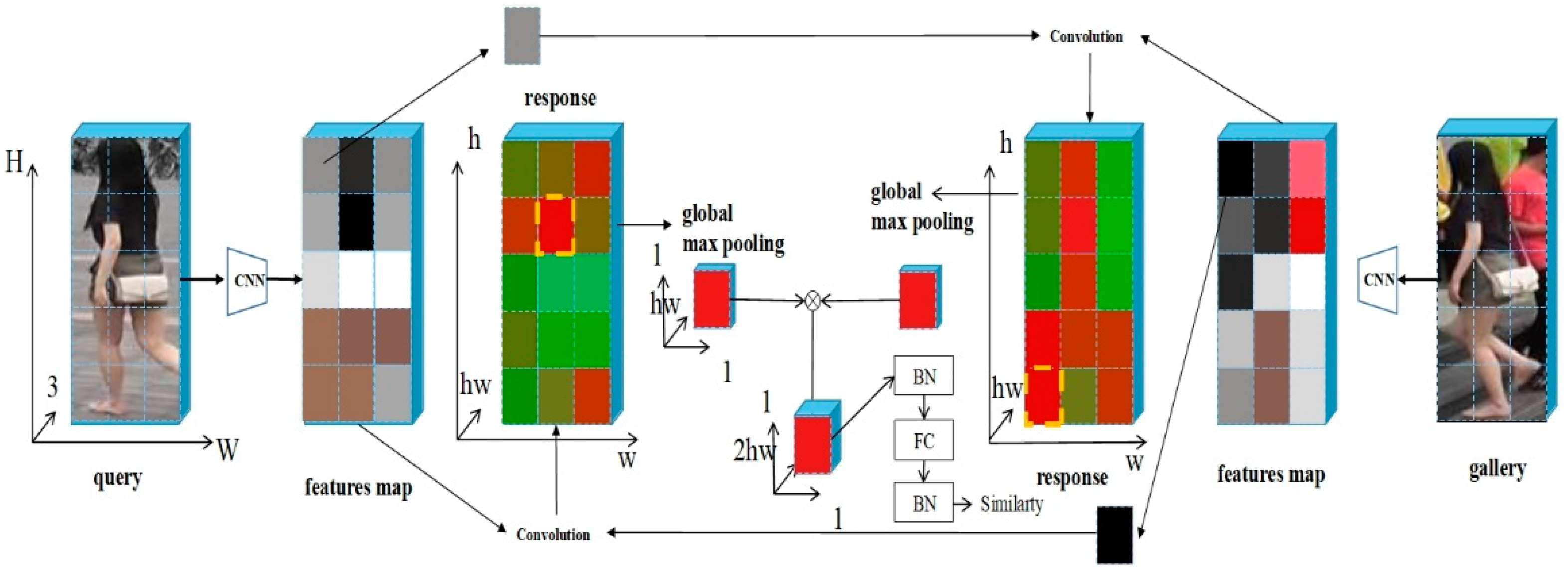 Cross-Domain Person Re-Identification Based on Multi-Branch Pose-Guided Occlusion Generation