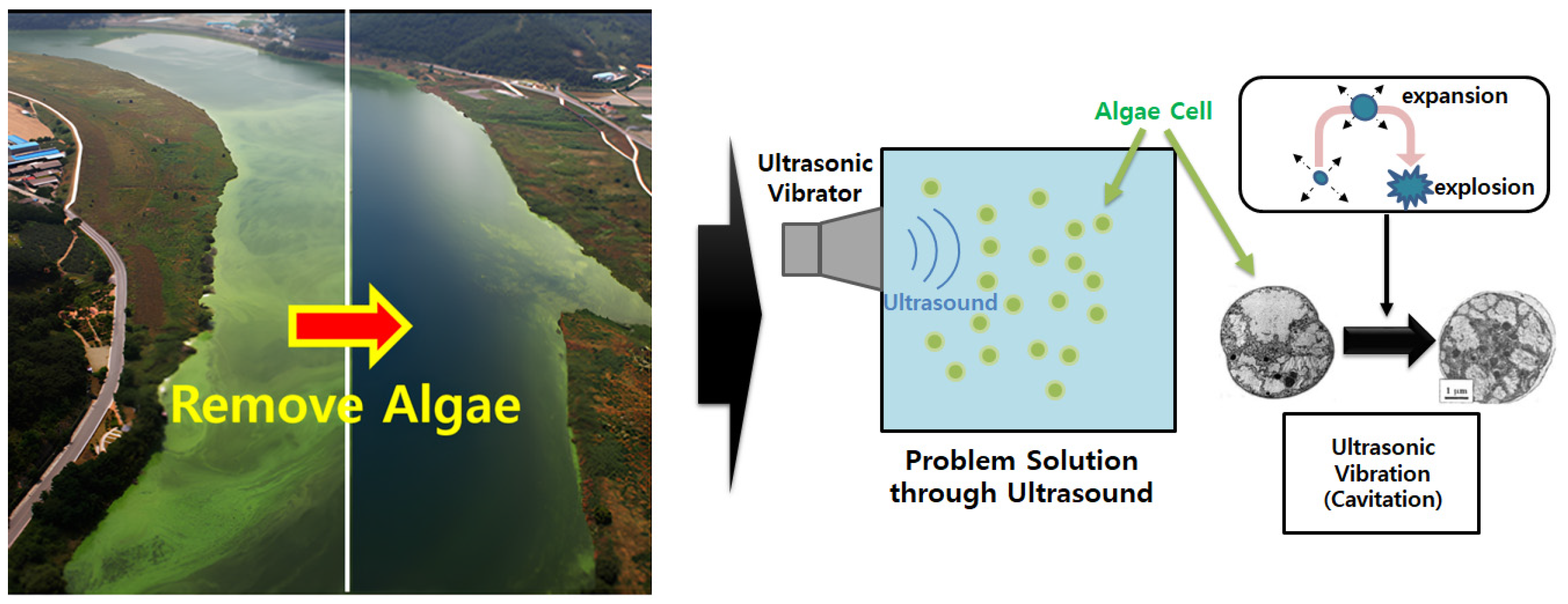 Optimal Design and Operation of an Ultrasonic Driving System for Algae ...